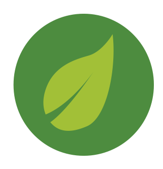 Buy Lomandra longifolia 'Variegata' (Variegated Mat Rush) | Bidscape